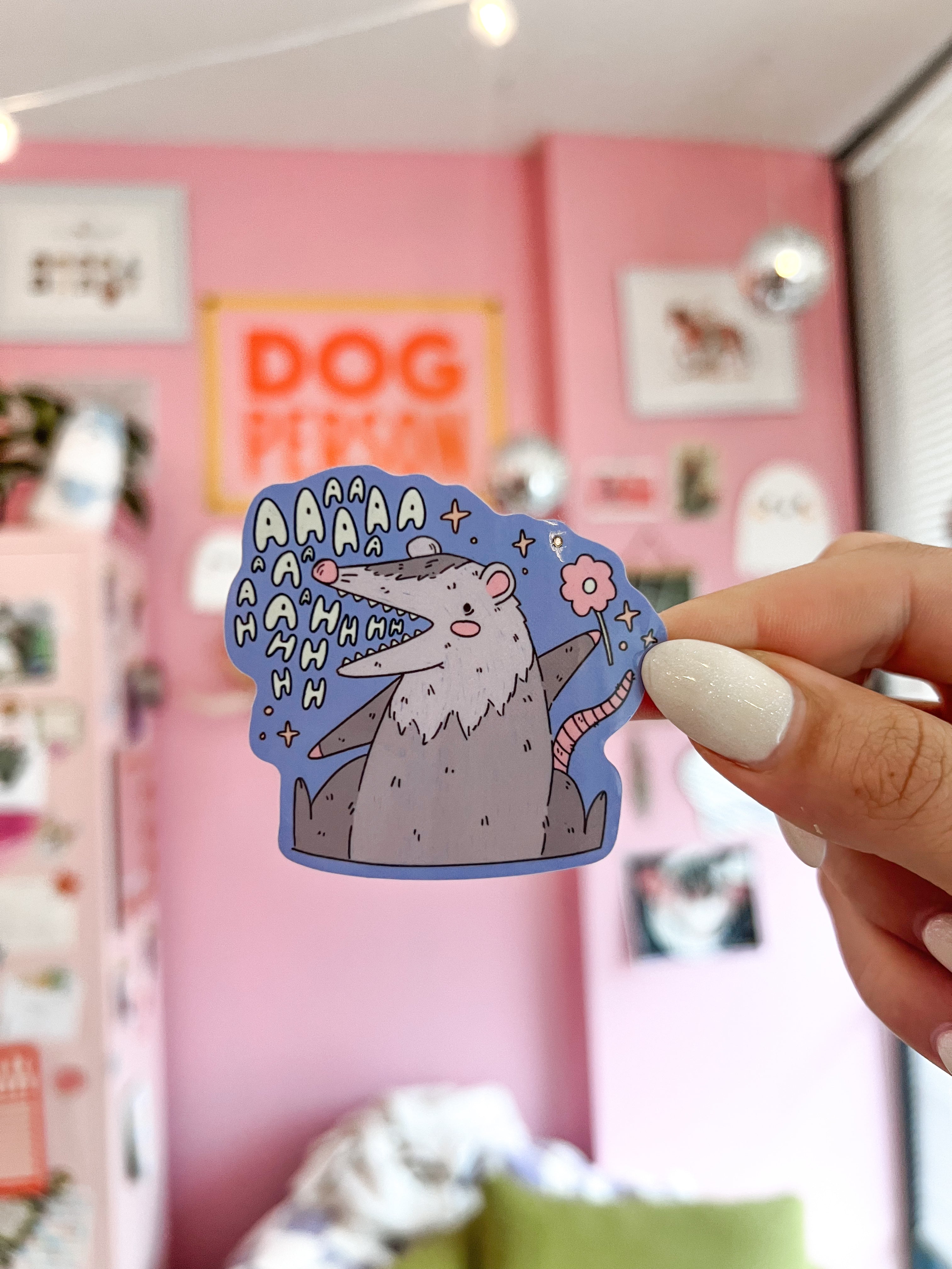 Opossum Sticker Shop Jollie Ollie