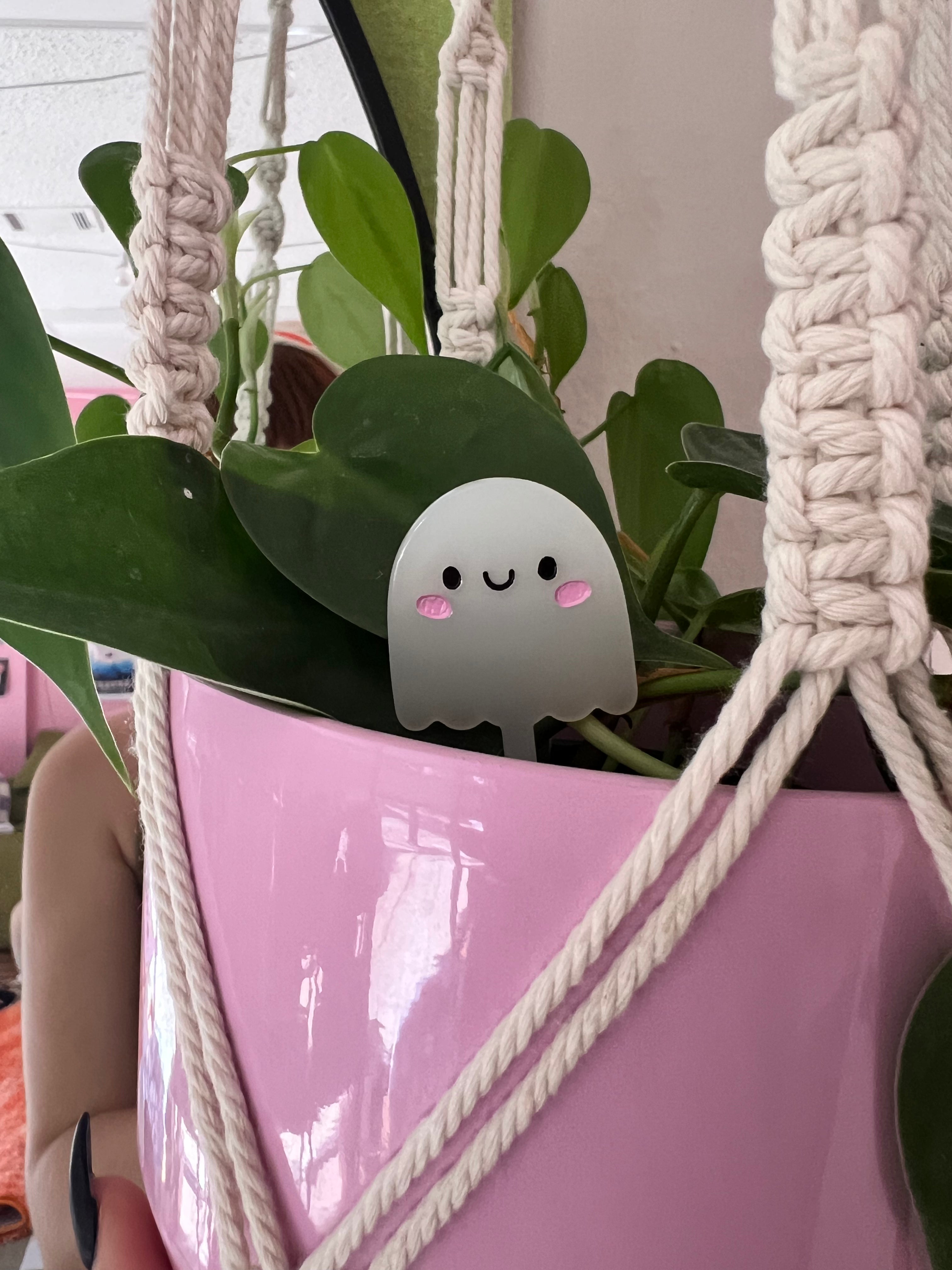 Ghostie Plant Pal – Shop Jollie Ollie