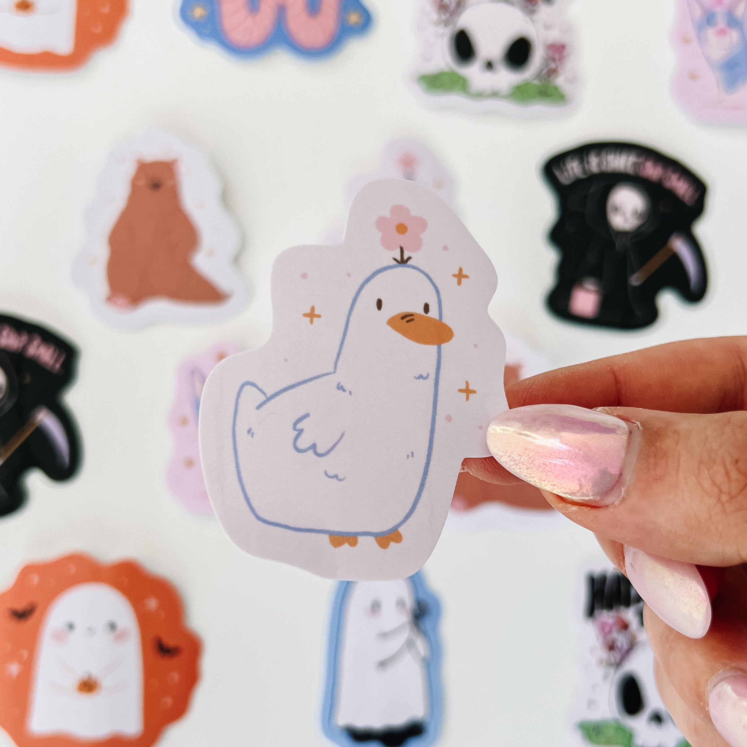 Handsome Duck Sticker Shop Jollie Ollie