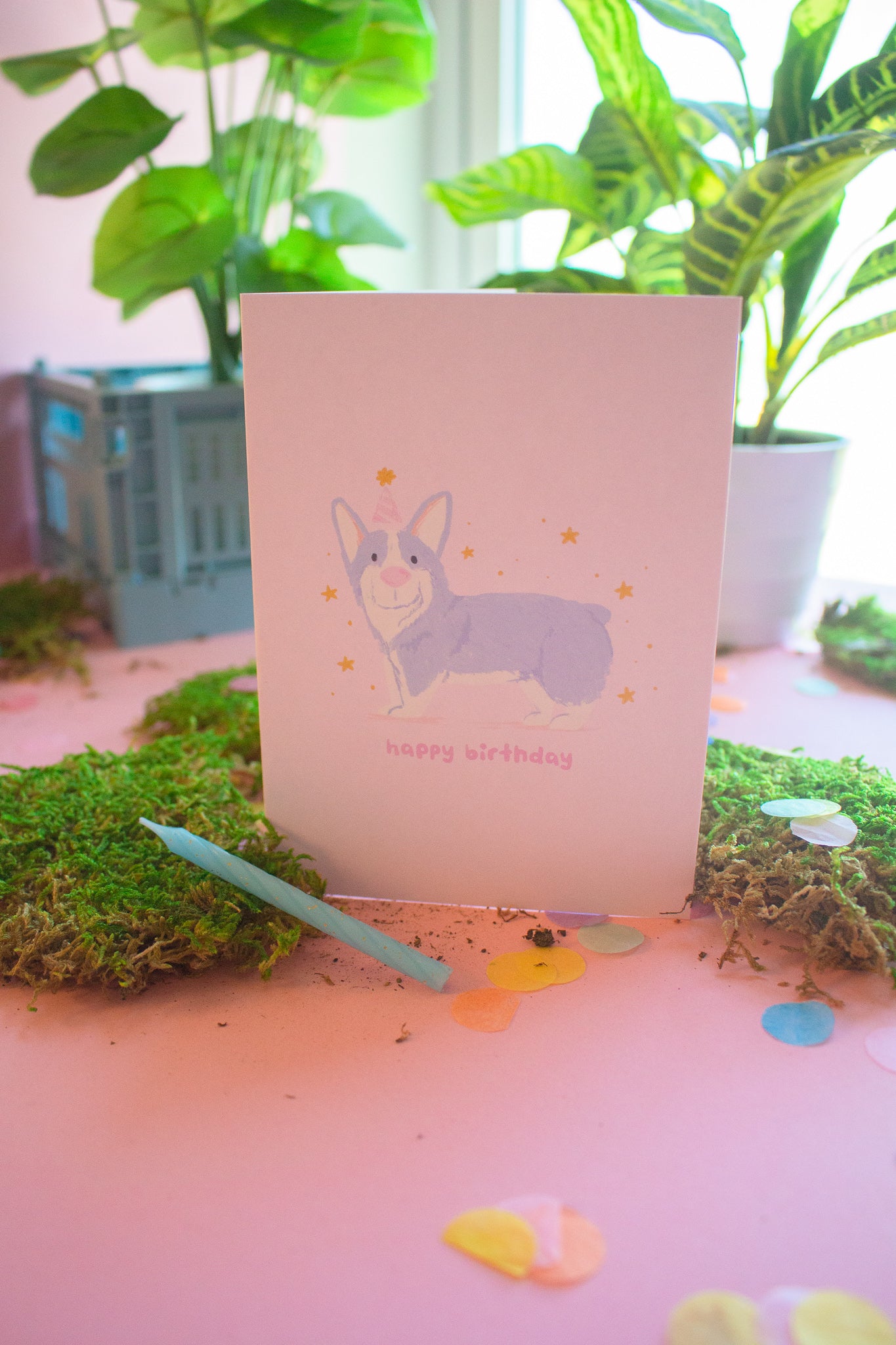 Happy Birthday Corgi Card – Shop Jollie Ollie
